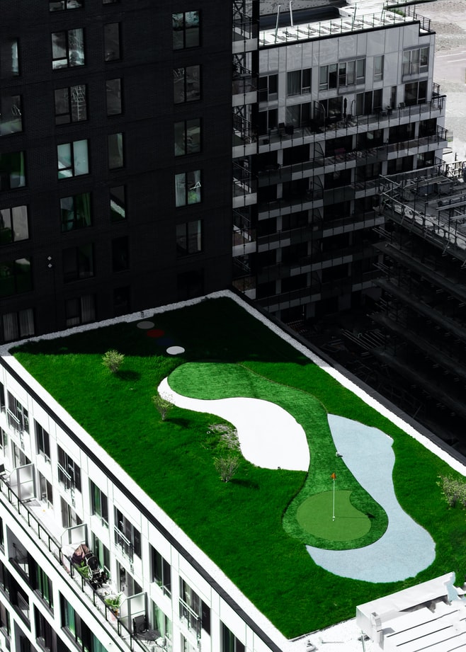 Les toits verts sont-ils bénéfiques à l'environnement